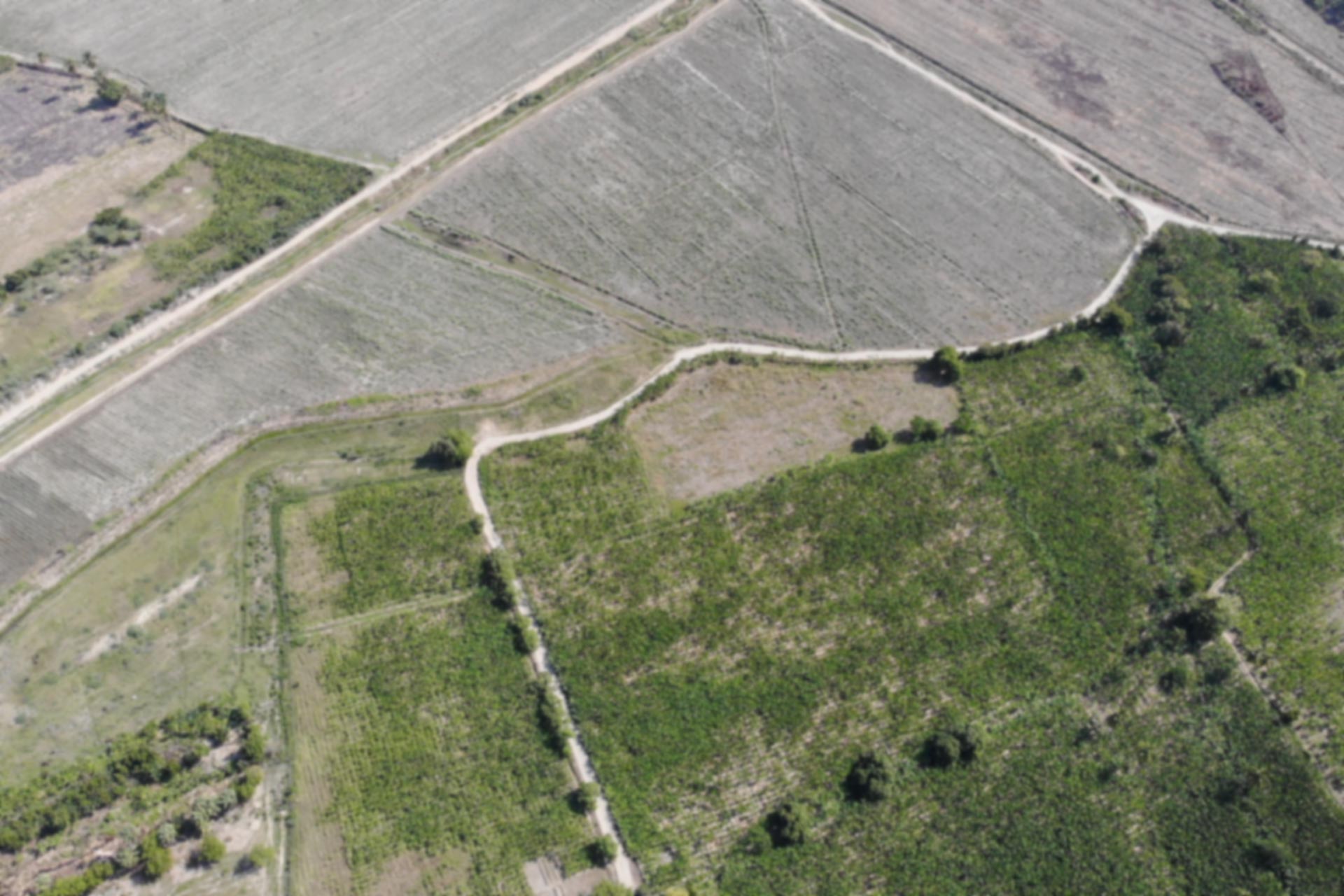 RAAS | Grupo Integral de Soluciones Sostenibles