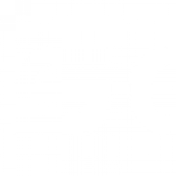 RAAS Group | Grupo Integral de Soluciones Sostenibles